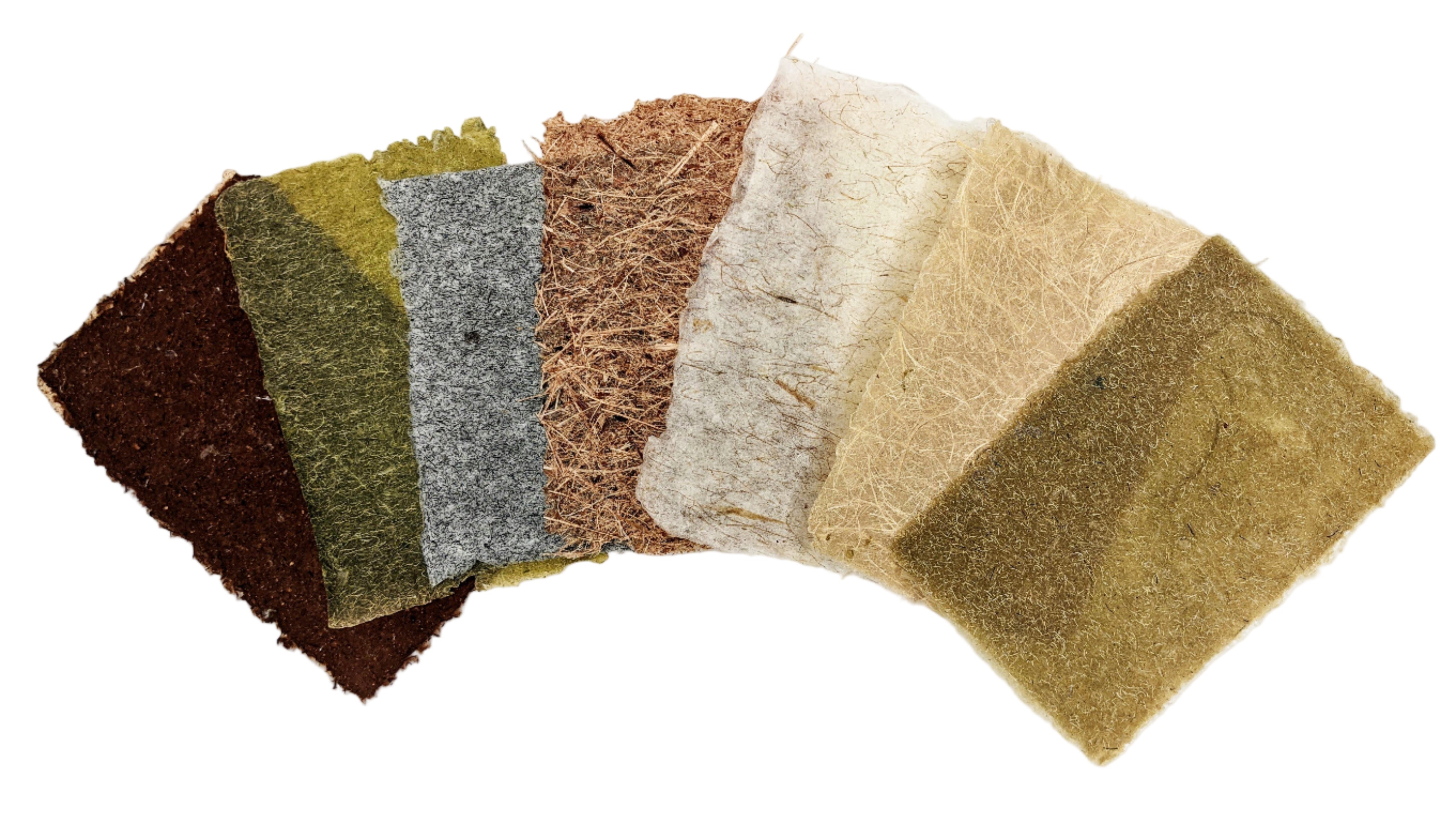 Papermaking with Local Plants | July 25-26,2026